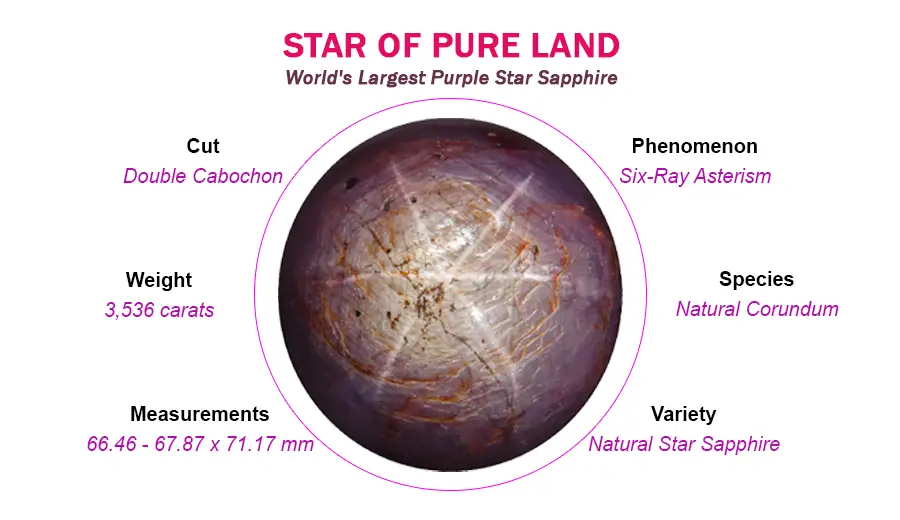Star of Pure Land: World's Largest Purple Star Sapphire